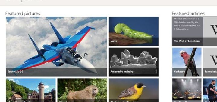 WikiGifs, una página con todos los gifs animados de Wikipedia