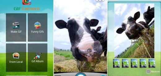 Giphy, directorio con miles de gifs animados para compartir en las ...