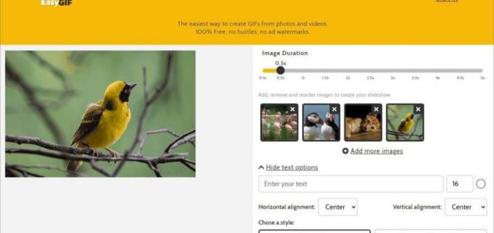 QGifer, software para crear gifs animados a partir de tus vídeos