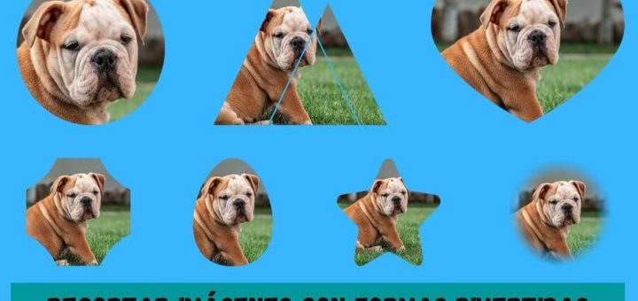 5 aplicaciones web para recortar imágenes, todas gratis y sin registro