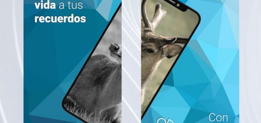 Colorear fotografías antiguas online, gratis y de forma automática