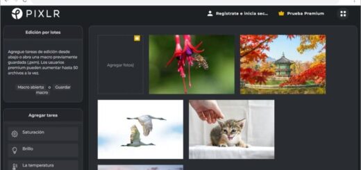 ImageSplitter: utilidad web gratuita para convertir, recortar, dividir ...