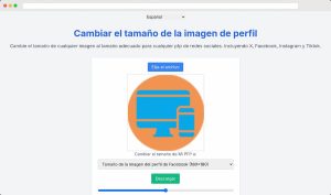 PFP Resizer: redimensionar tus imágenes de perfil